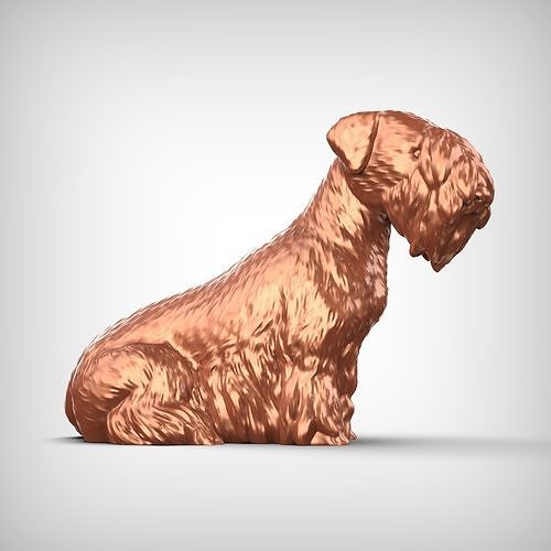 Cesky Terrier Dog 3D Print Model Pose 06 3D model 3D printable | CGTrader