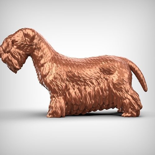 Cesky Terrier Dog 3D Print Model Pose 01 3D model 3D printable | CGTrader