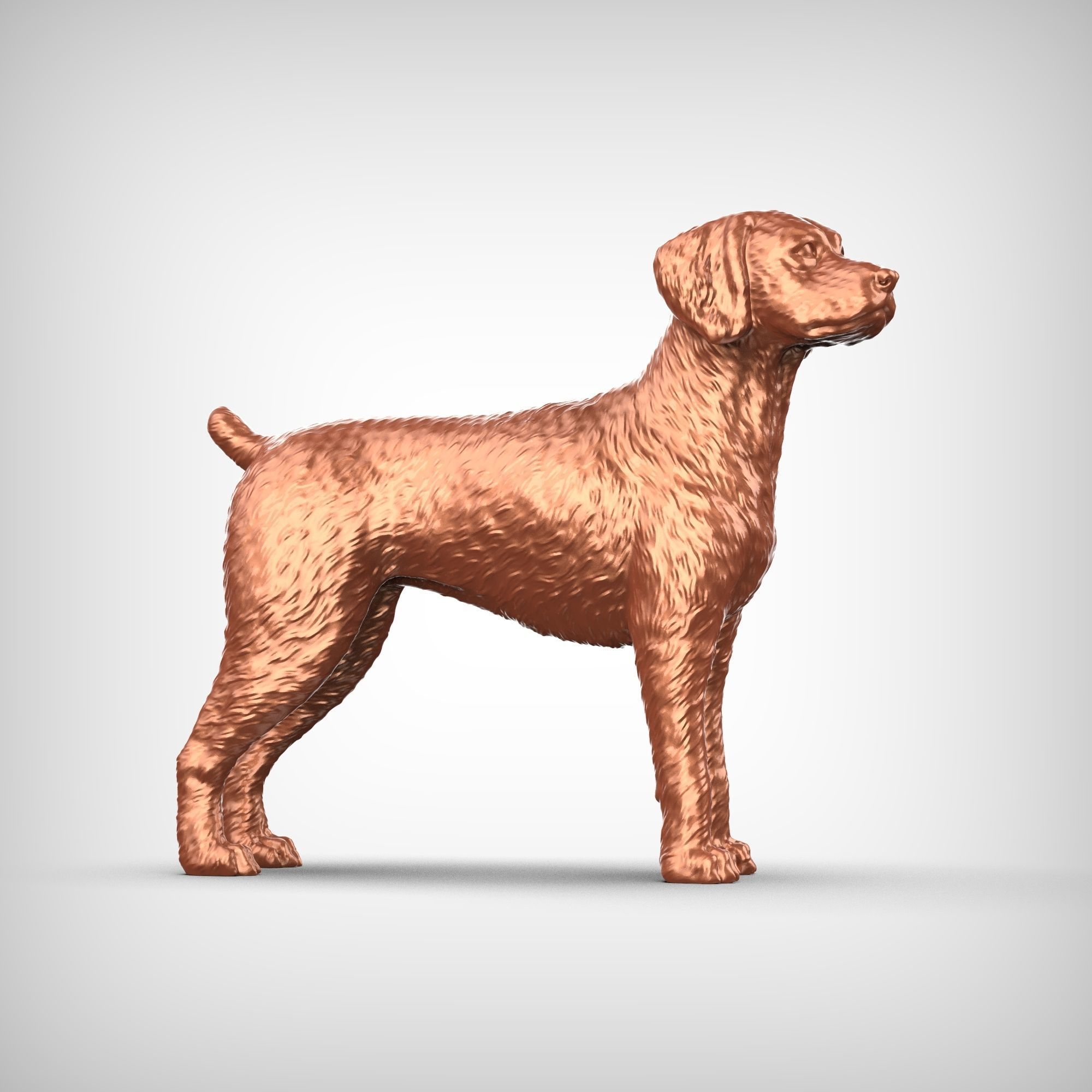 Brittany Dog 3D Print Model Pose 03 3D model 3D printable | CGTrader