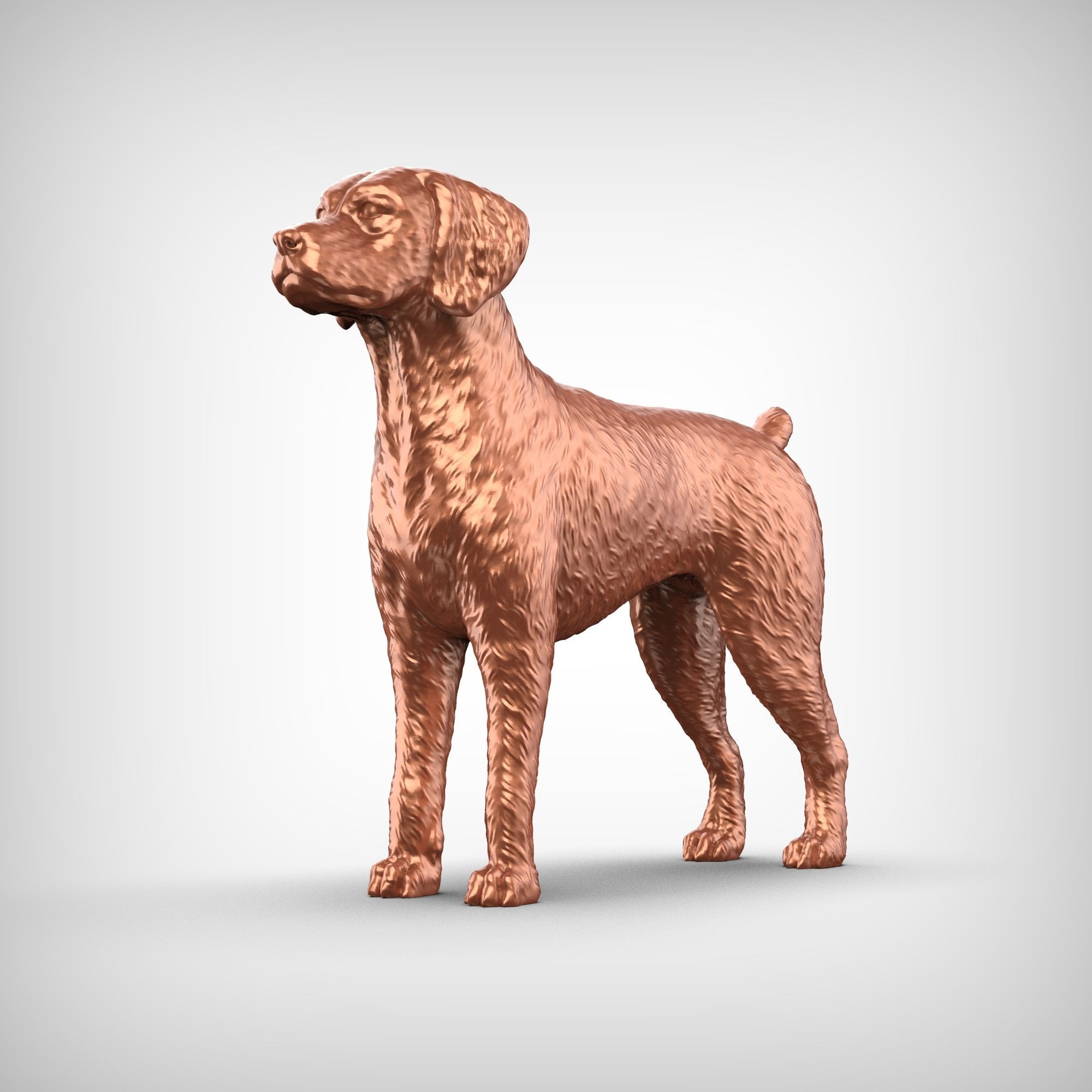 Brittany Dog 3D Print Model Pose 01 3D model 3D printable | CGTrader