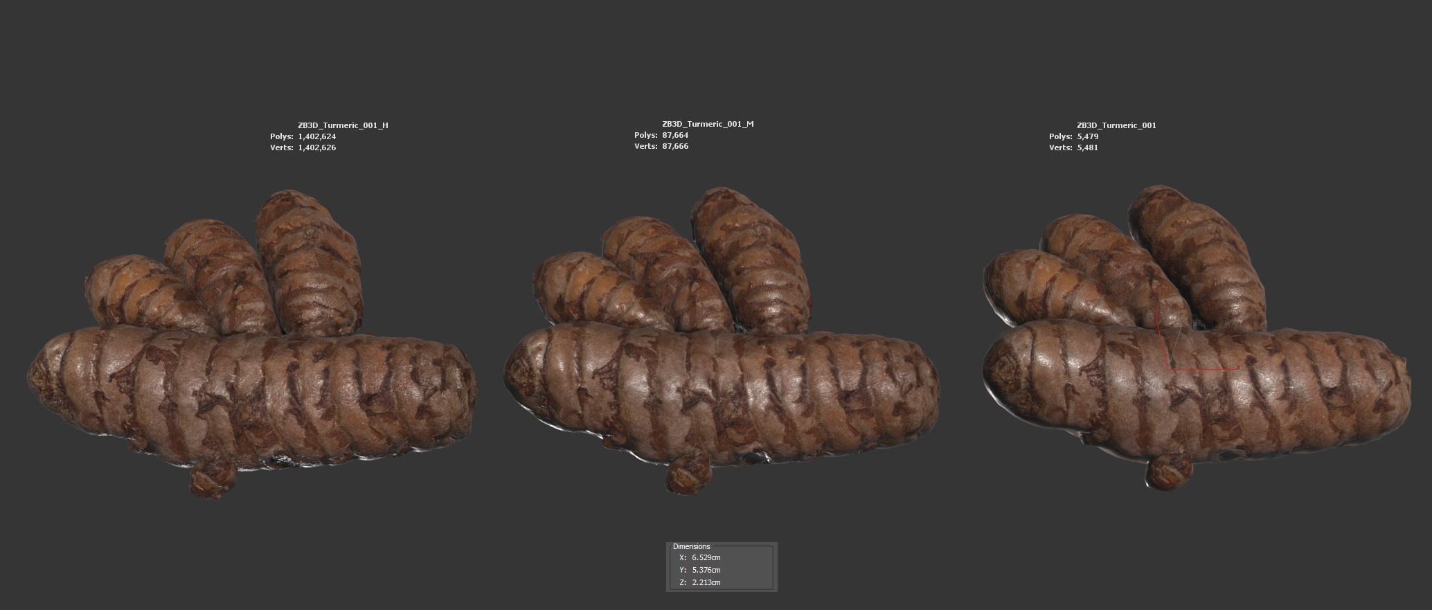 Turmeric 3D model | CGTrader