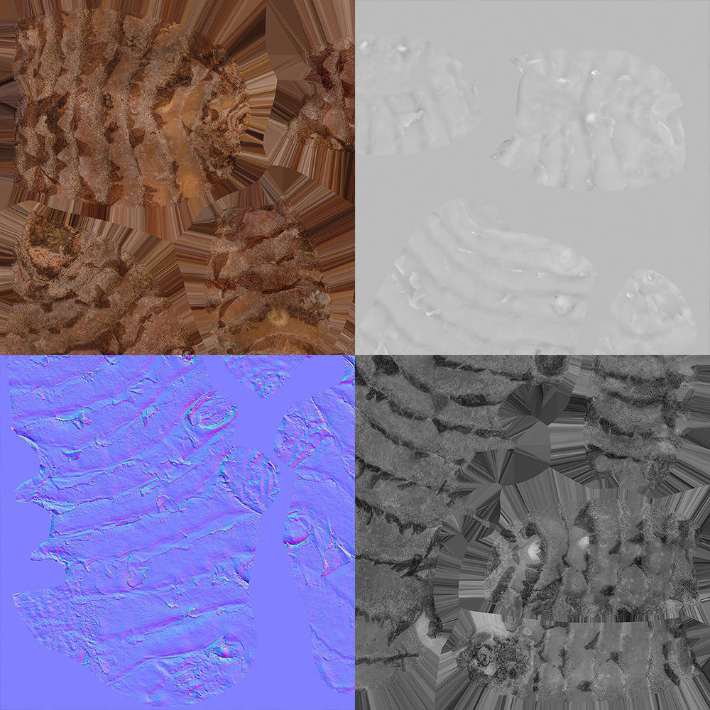 Turmeric 3D model | CGTrader