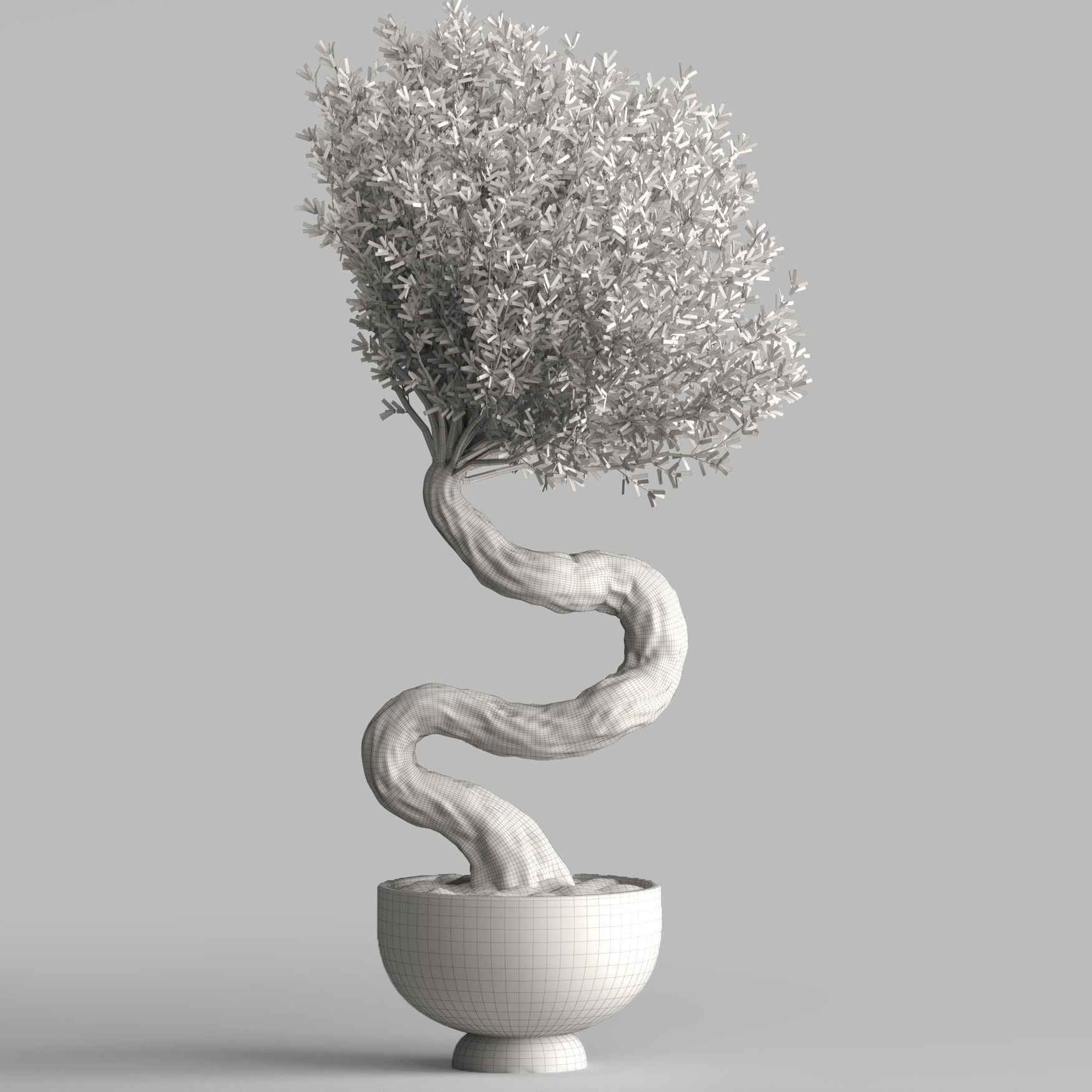 Indoor Plant Olive Tree Set -21 3D model | CGTrader