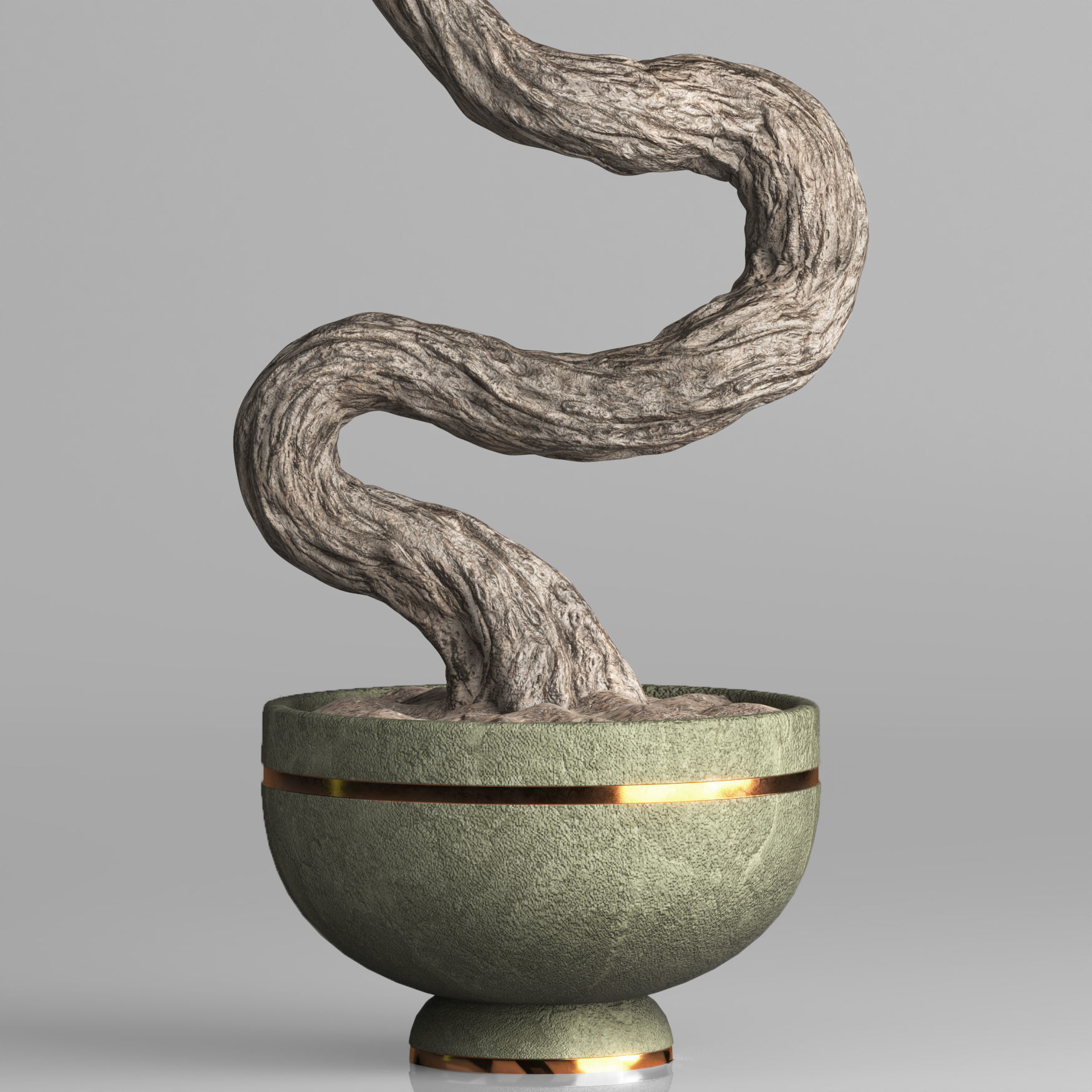 Indoor Plant Olive Tree Set -21 3D model | CGTrader