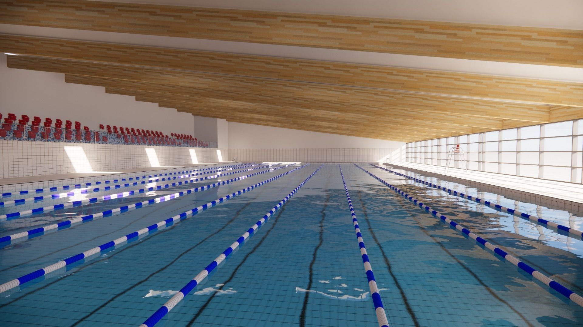 Swimming pool 50 meters 3D model | CGTrader
