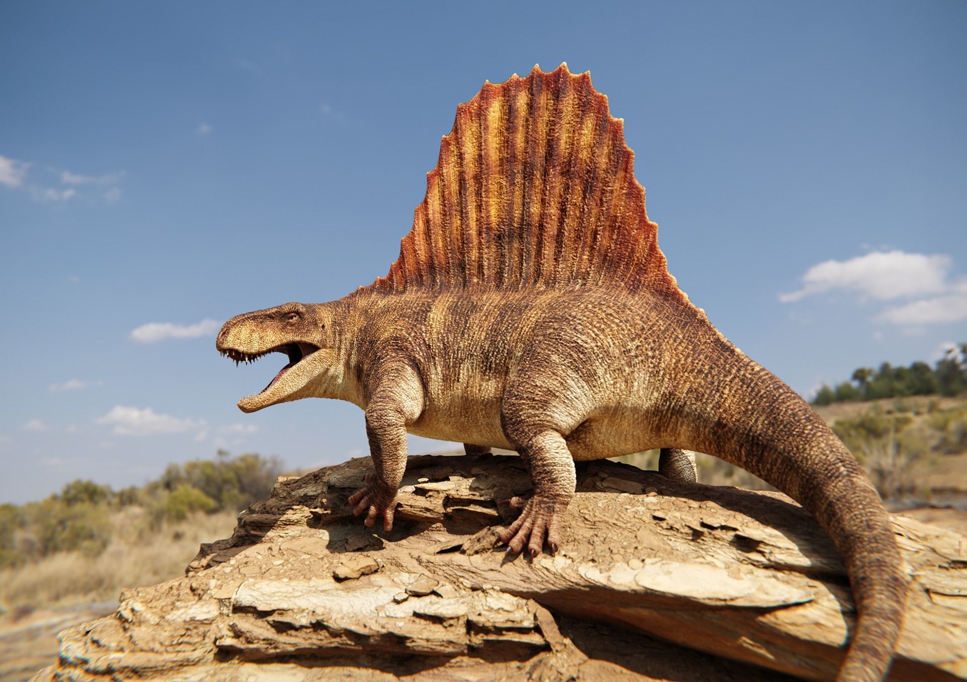 3D model Dimetrodon - Prehistoric Synapsid VR / AR / low-poly | CGTrader 3D model Dimetrodon - Prehistoric Synapsid VR / AR / low-poly | CGTrader