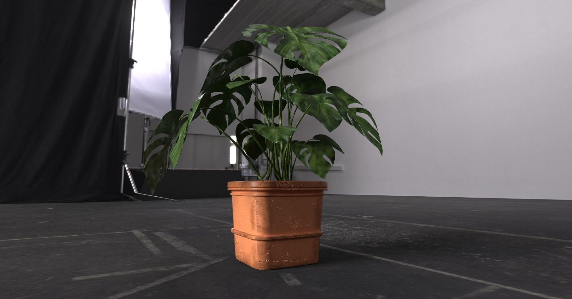 3D model Monstera and Pot VR / AR / low-poly | CGTrader