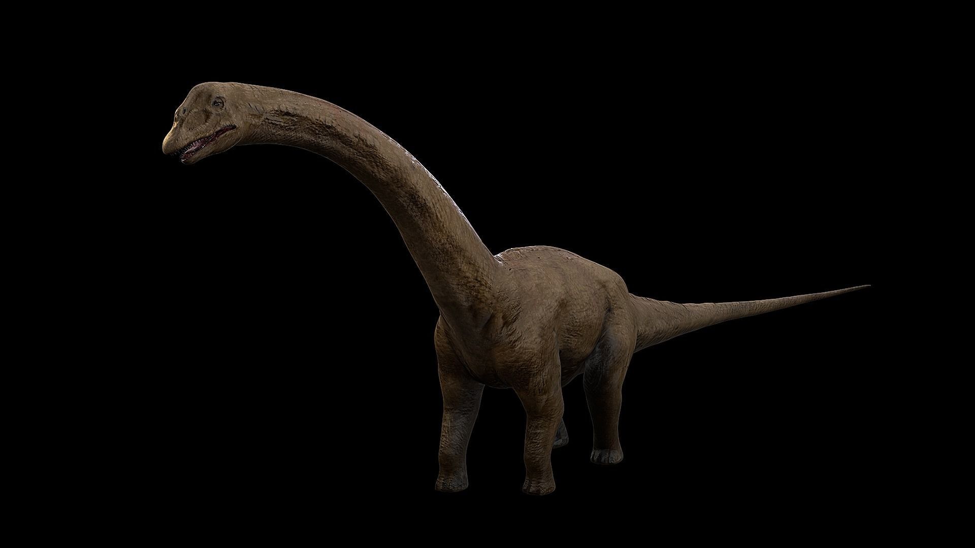 3D model Sauropoda - Long Neck Dinosaur VR / AR / low-poly | CGTrader