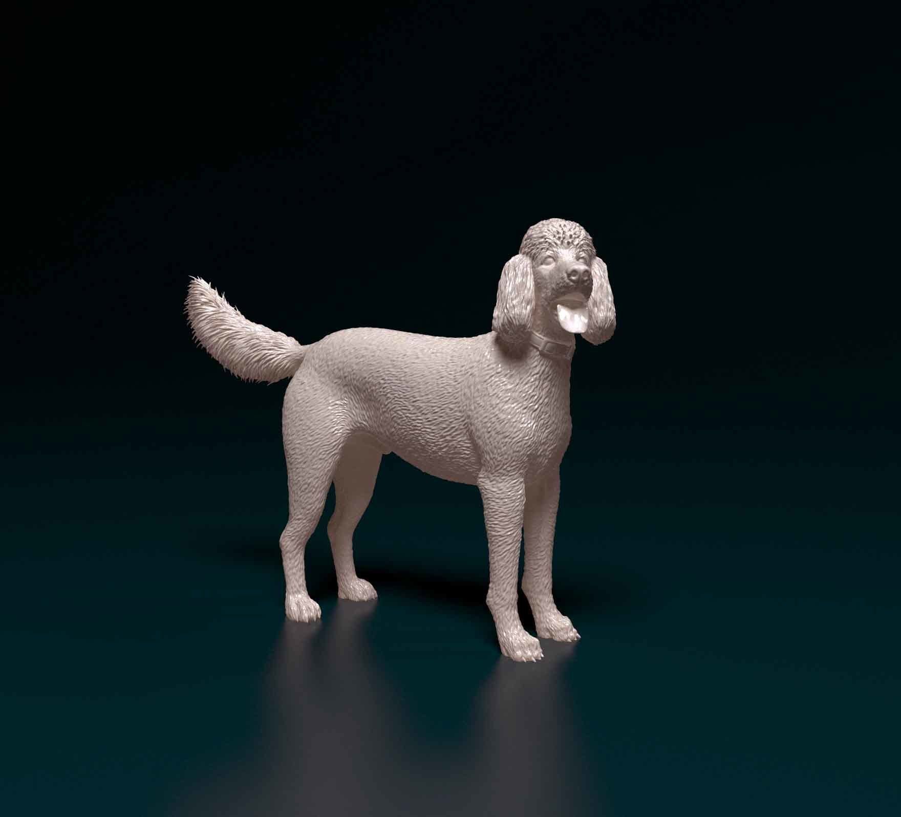Poodle 06 3D model 3D printable | CGTrader