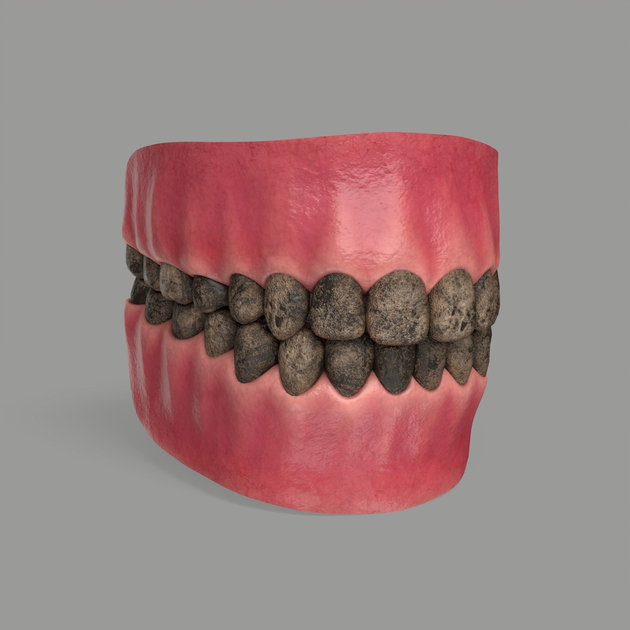3D model Human Mouth Anatomy Teeth Gums Tongue VR / AR / low-poly ...