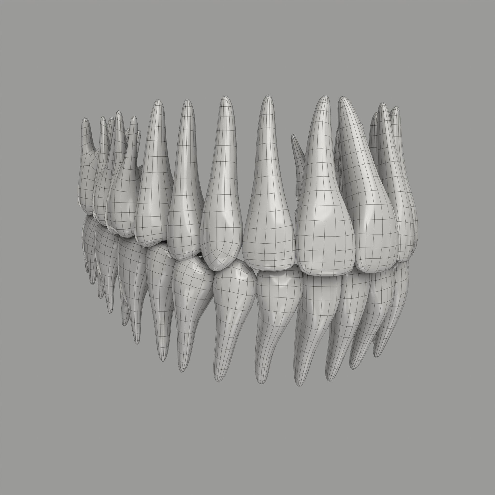3D model Human Mouth Anatomy Teeth Gums Tongue VR / AR / low-poly ...