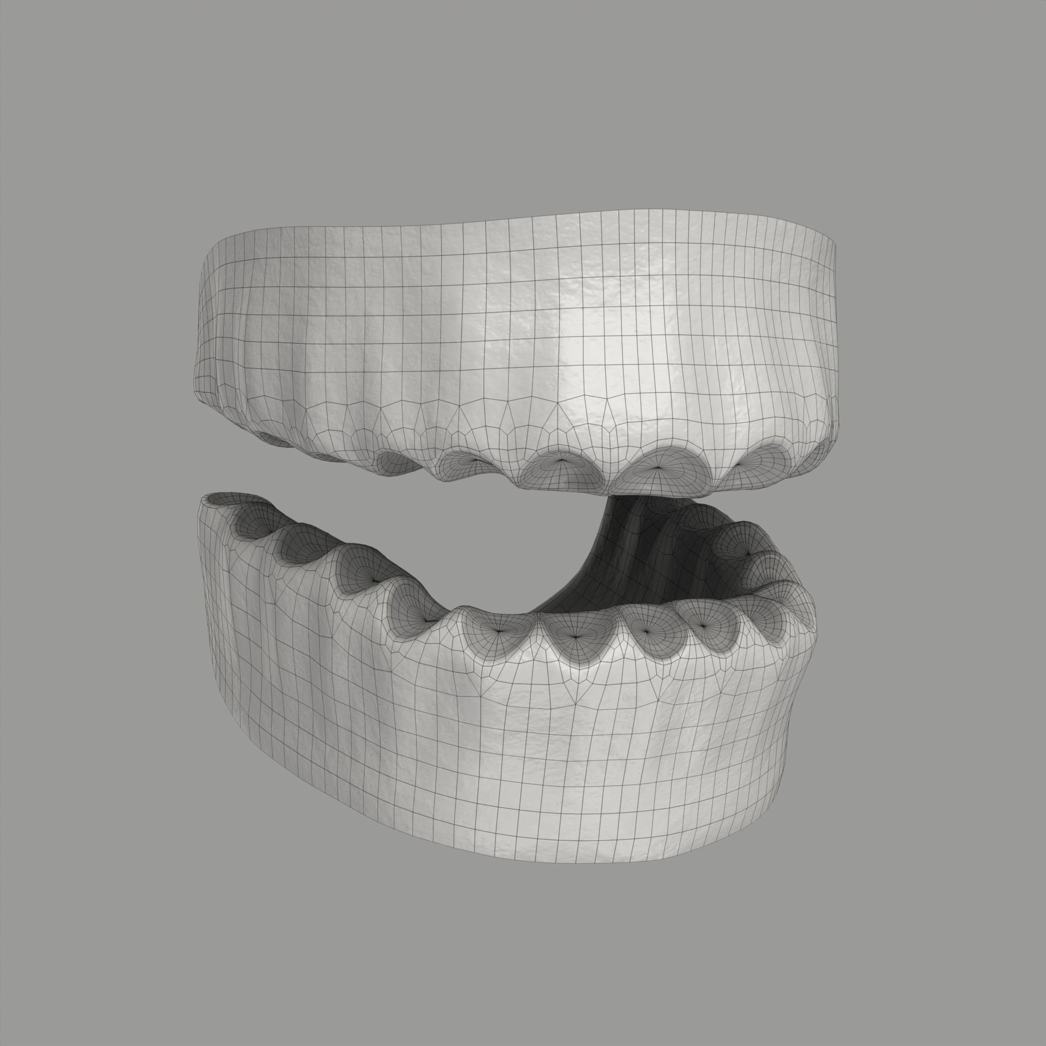 3D model Human Mouth Anatomy Teeth Gums Tongue VR / AR / low-poly ...