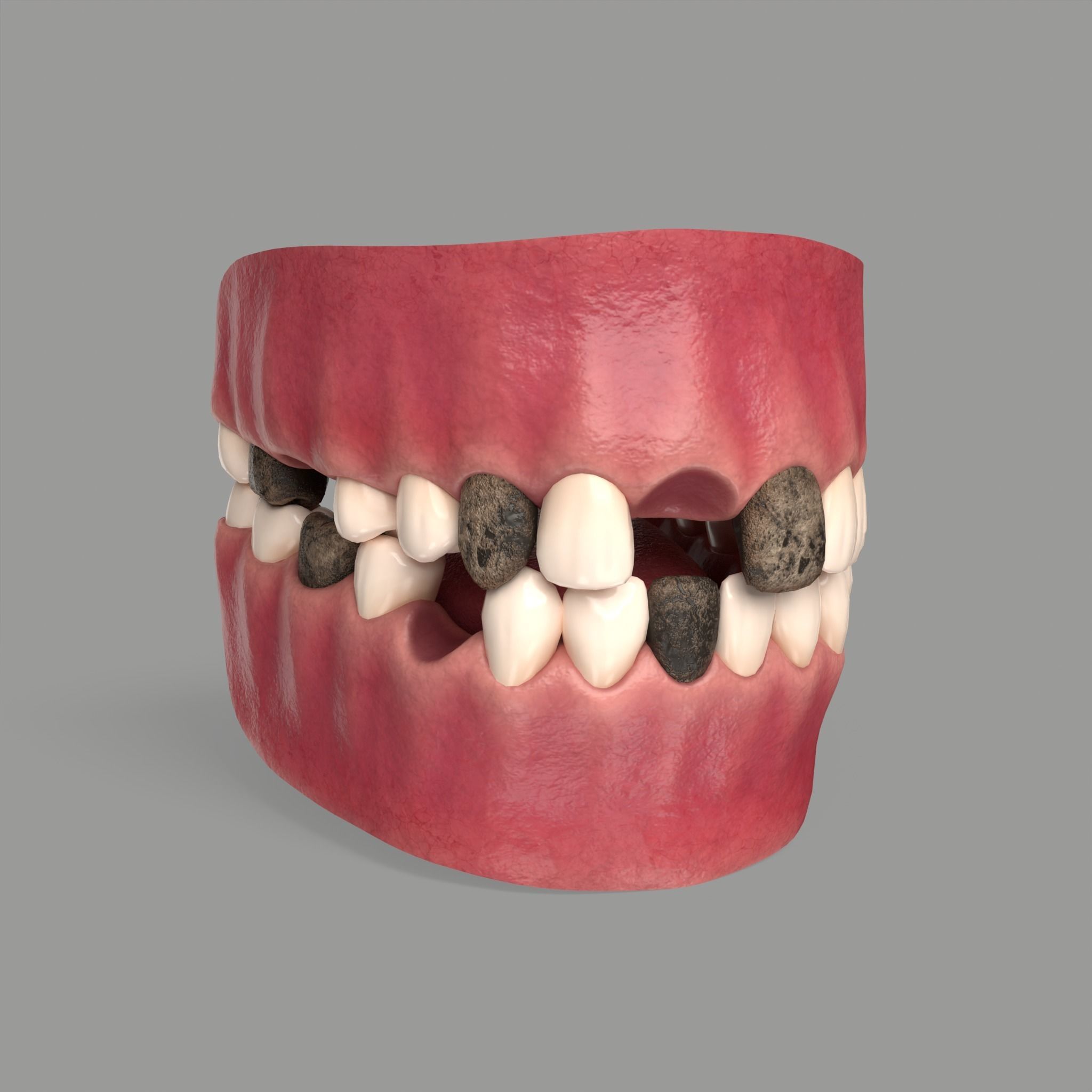 3D model Human Mouth Anatomy Teeth Gums Tongue VR / AR / low-poly ...