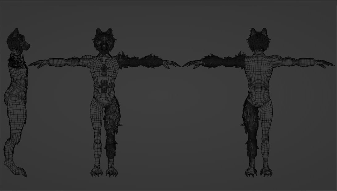 PURPLE WOLF VRCHAT AVATAR 3D model rigged | CGTrader