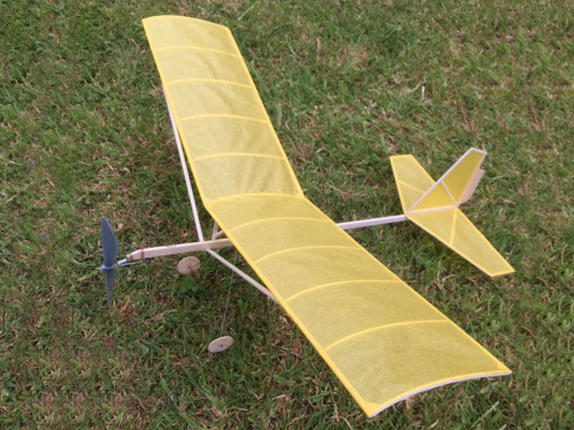 hangar rat plane 3D model 3D printable | CGTrader