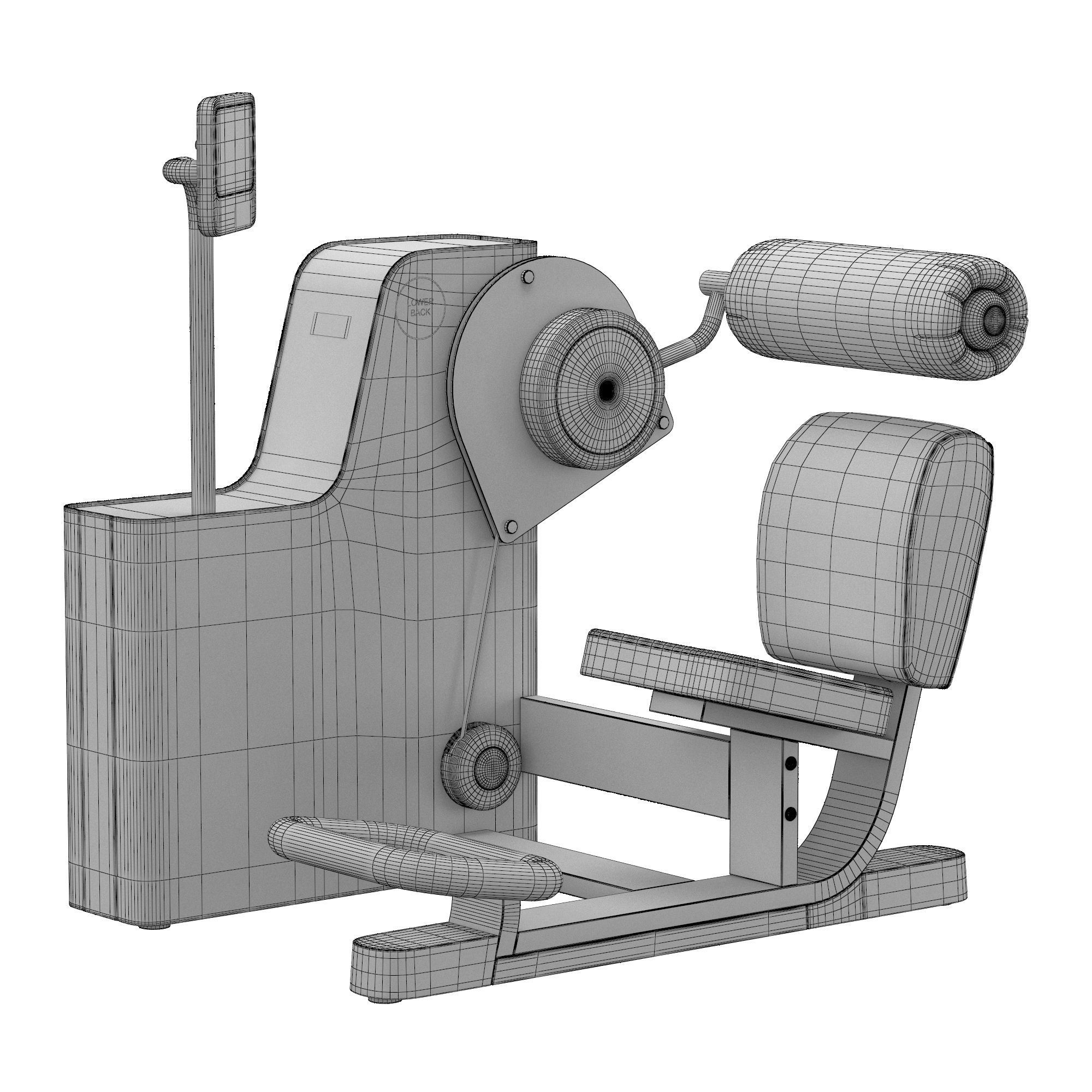 Biostrength Lower Back 3D model | CGTrader
