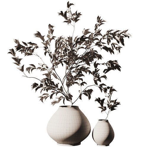 Dry Flower Bouquet8 3D model | CGTrader