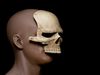 Grumpy Skull Mask 3D model 3D printable | CGTrader