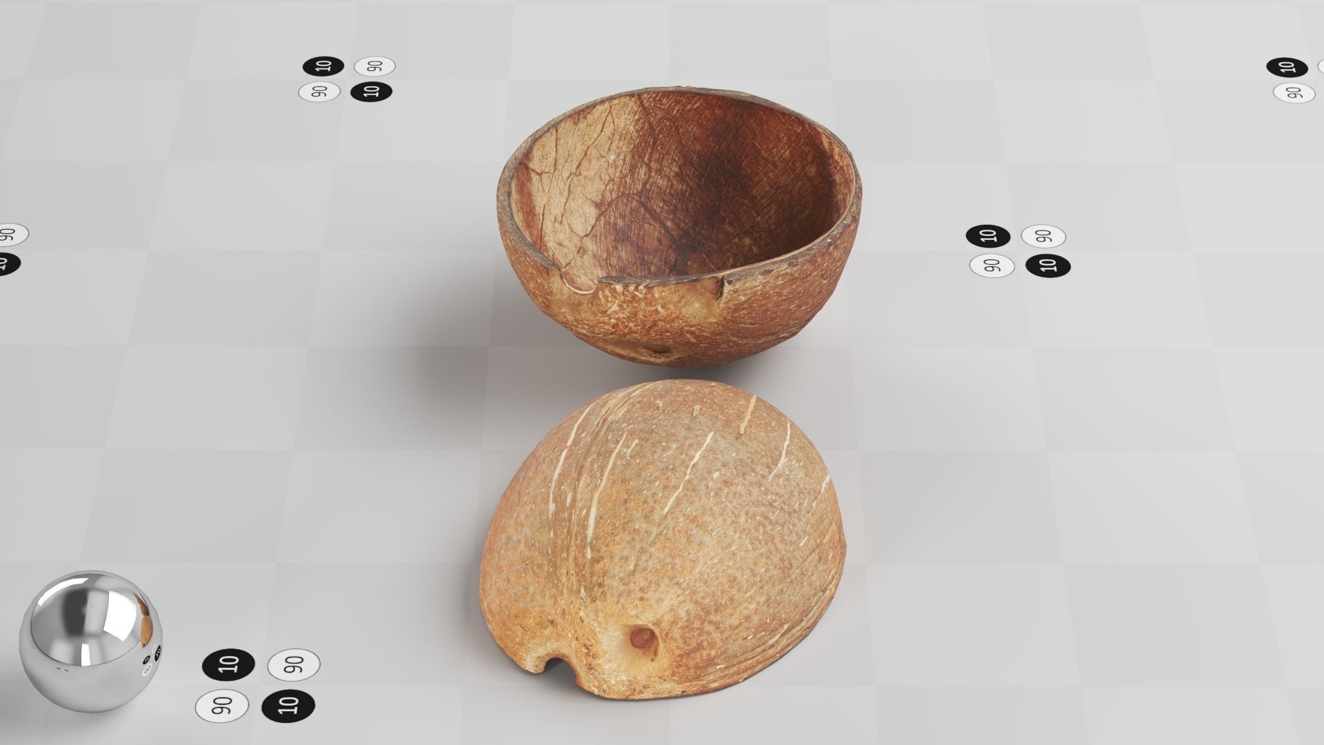 3D model Coconut Shell - Photogrammetry Scan VR / AR / low-poly | CGTrader