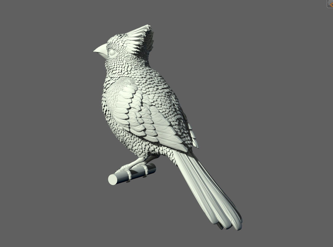 bird red cardinal 3D model 3D printable | CGTrader