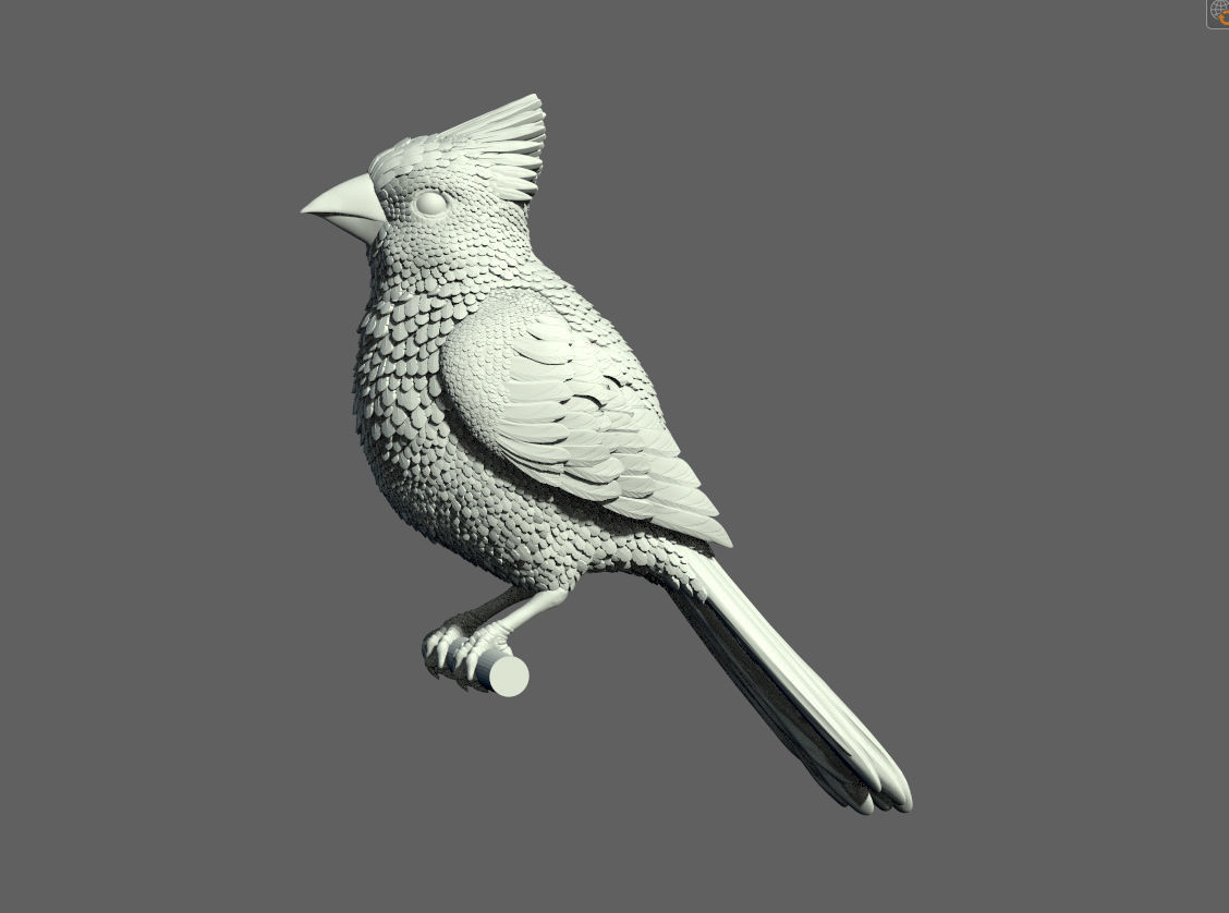 bird red cardinal 3D model 3D printable | CGTrader