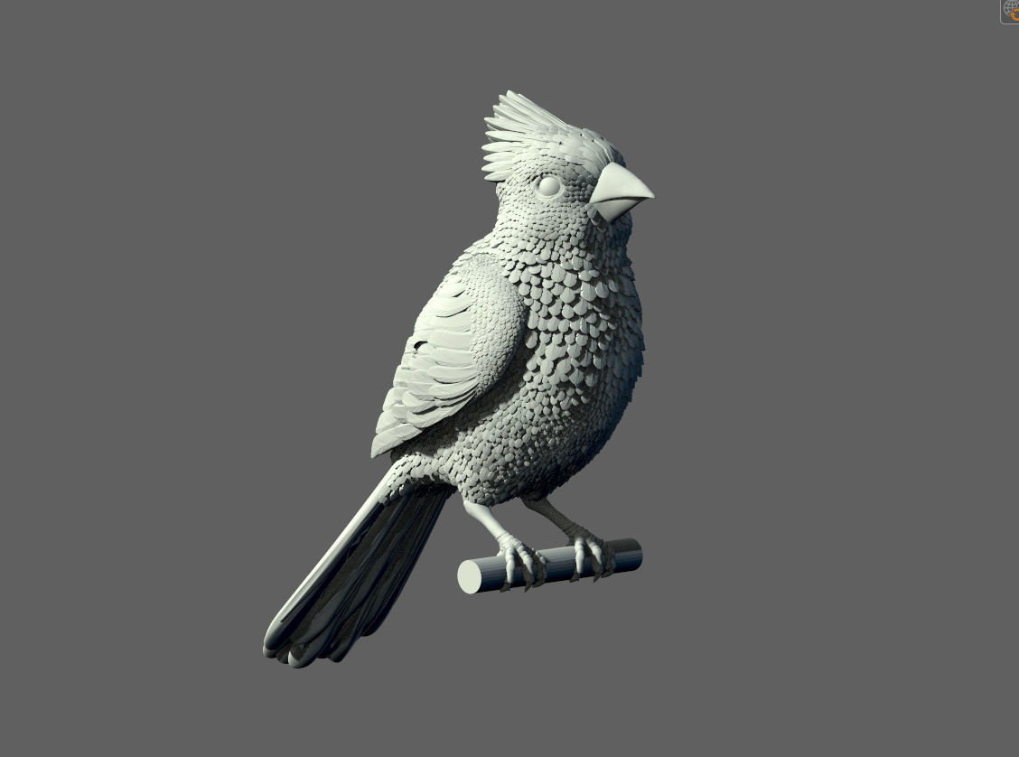 bird red cardinal 3D model 3D printable | CGTrader