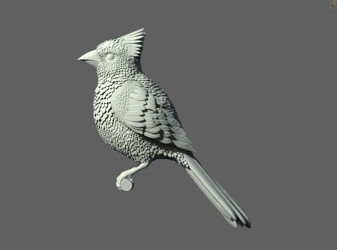 bird red cardinal 3D model 3D printable | CGTrader