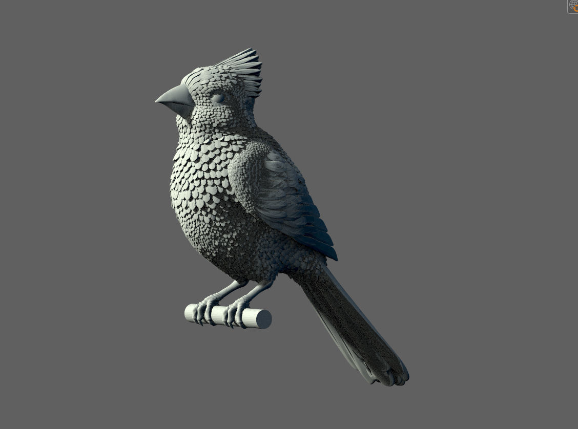 bird red cardinal 3D model 3D printable | CGTrader