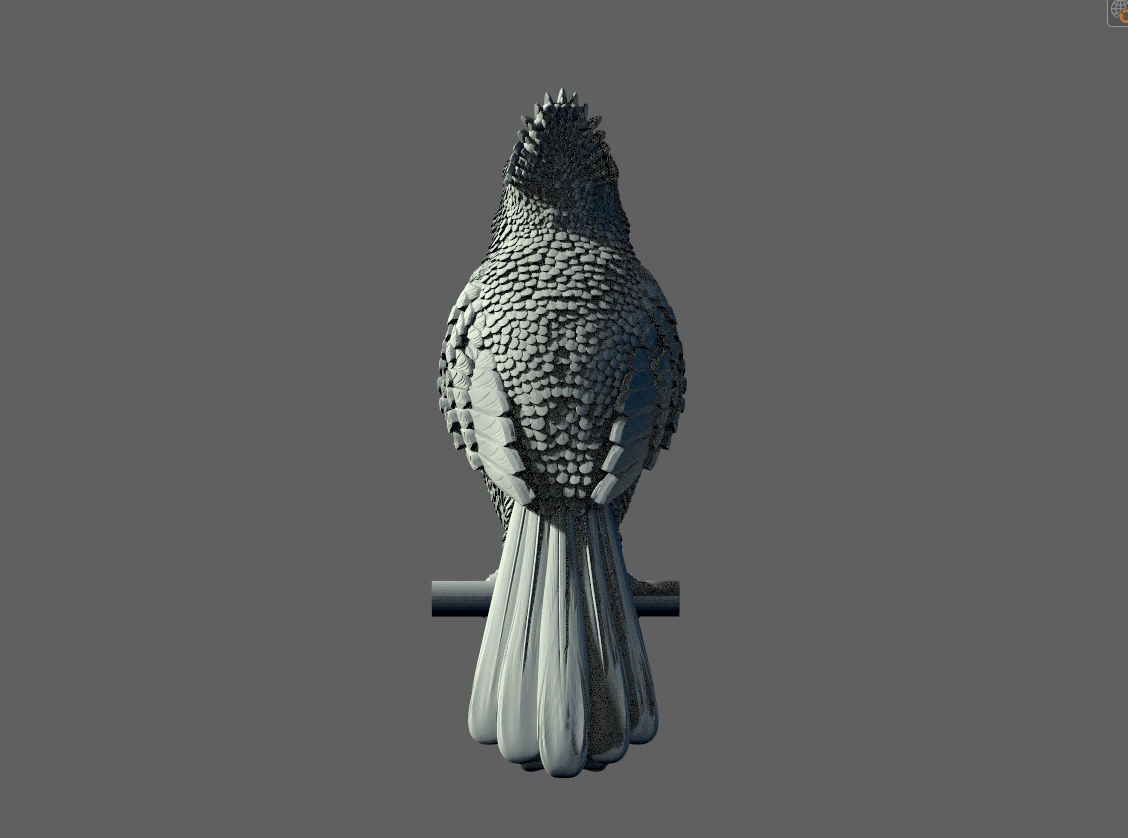 bird red cardinal 3D model 3D printable | CGTrader