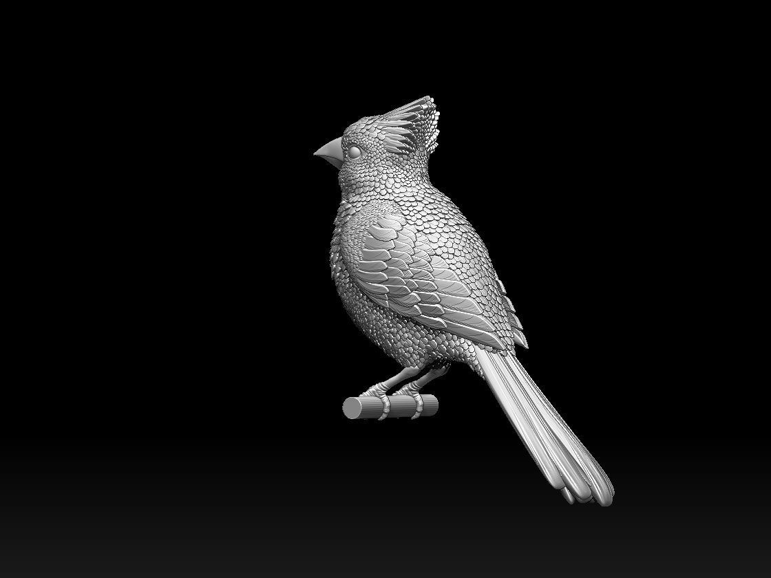 bird red cardinal 3D model 3D printable | CGTrader