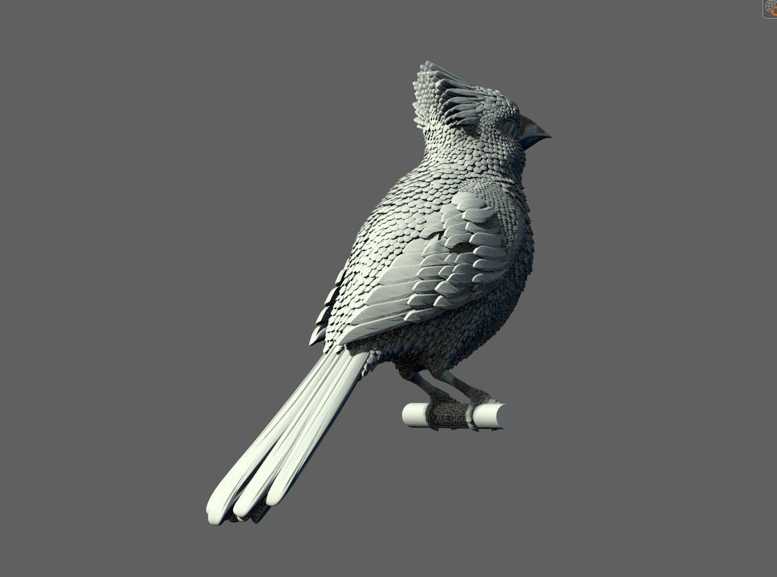 bird red cardinal 3D model 3D printable | CGTrader