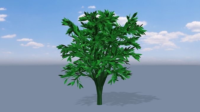 big tree free 3D model | CGTrader