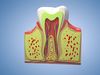 Medical Teeth Dental profile cortical structure 3D model | CGTrader