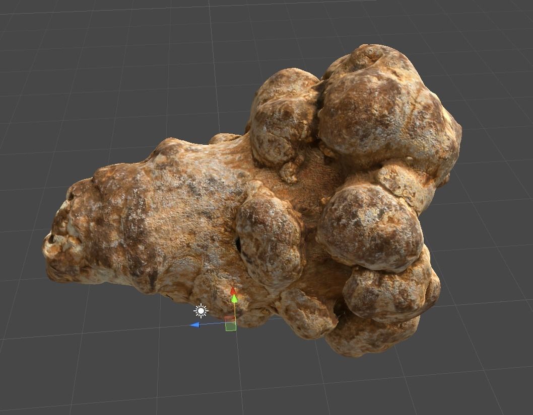 3D model 3DSCAN-Traditional Chinese Medicine-Sanchi flower VR / AR ...