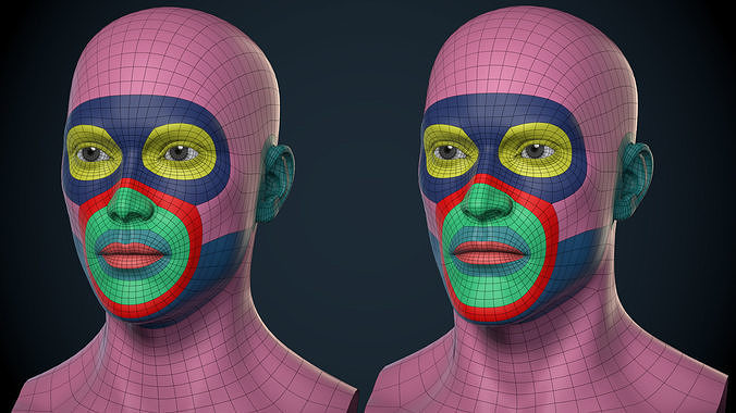 3D model Male And Female Head Basemesh - Game Ready VR / AR / low-poly ...