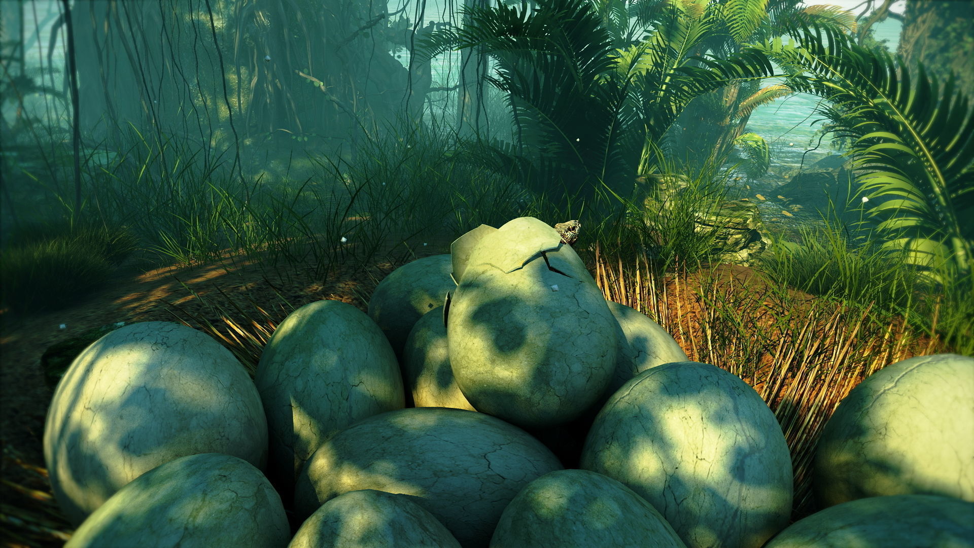 Dinosaur Shell Breaking Animation 3D model animated | CGTrader