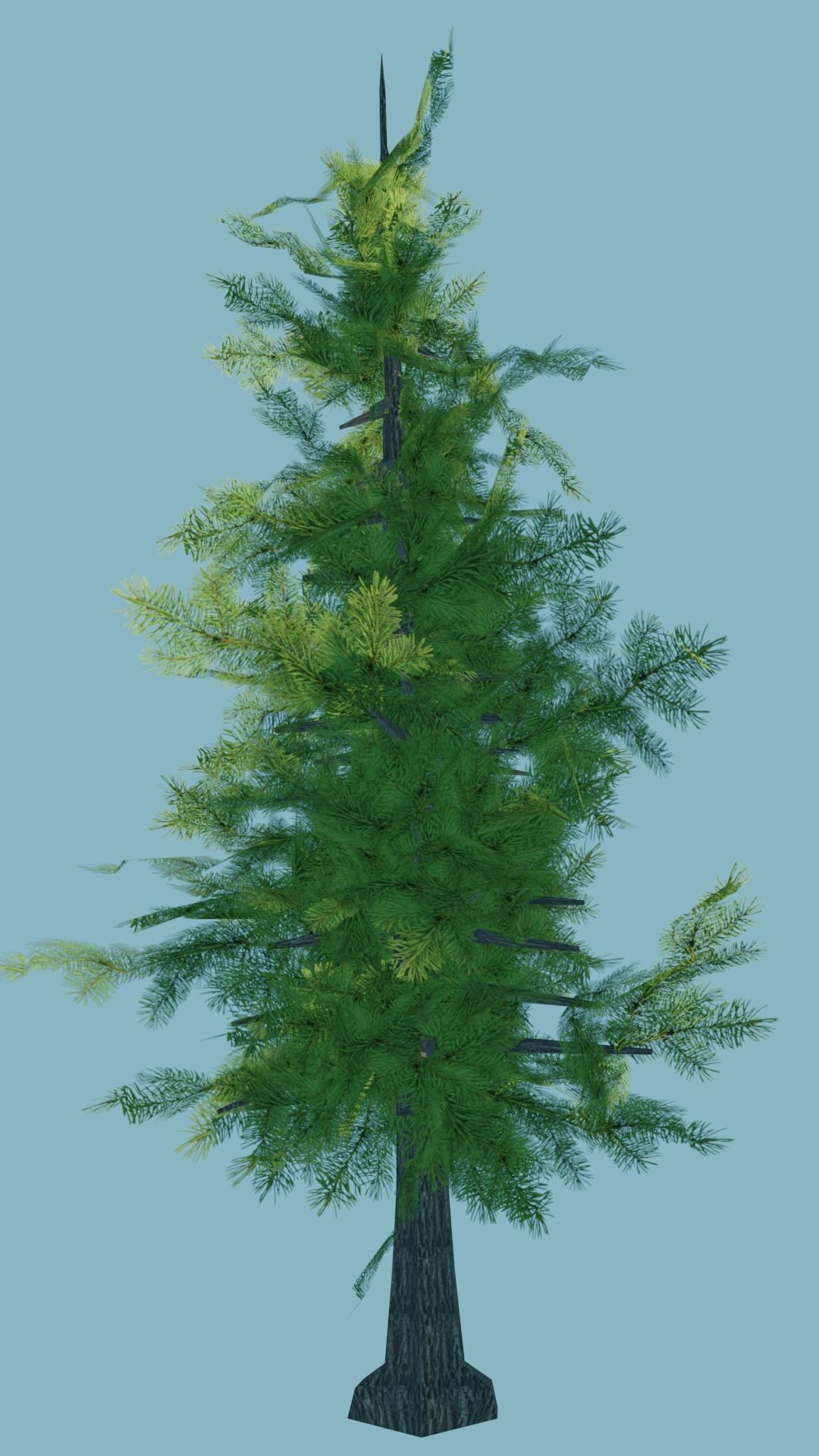 3D model Low-Poly Pine Tree 3D Model VR / AR / low-poly | CGTrader
