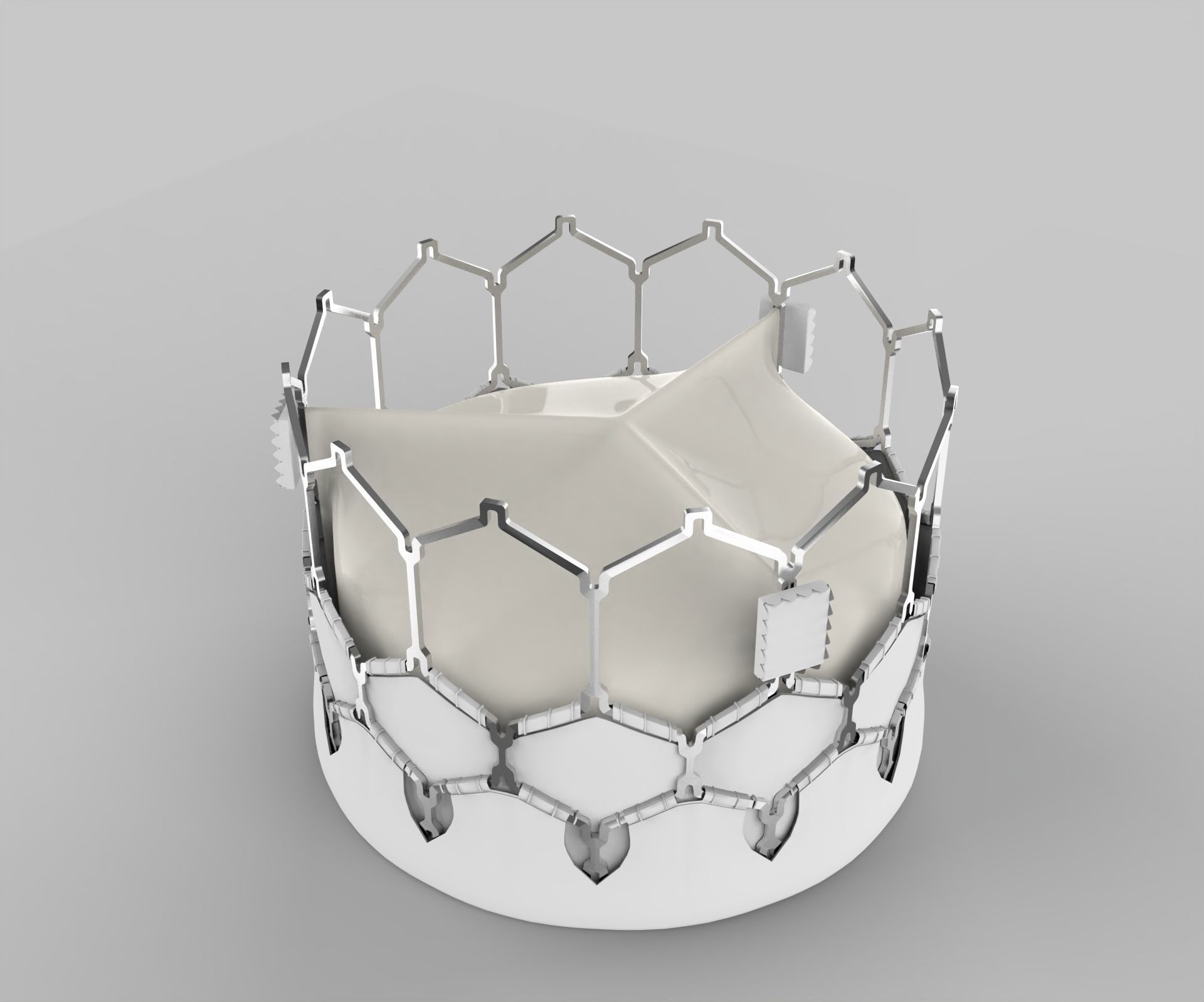 Heart Valve 3D model | CGTrader