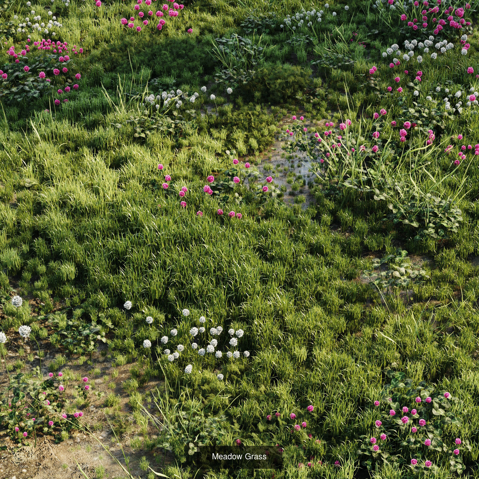 landscape Set 3D Model Collection | CGTrader