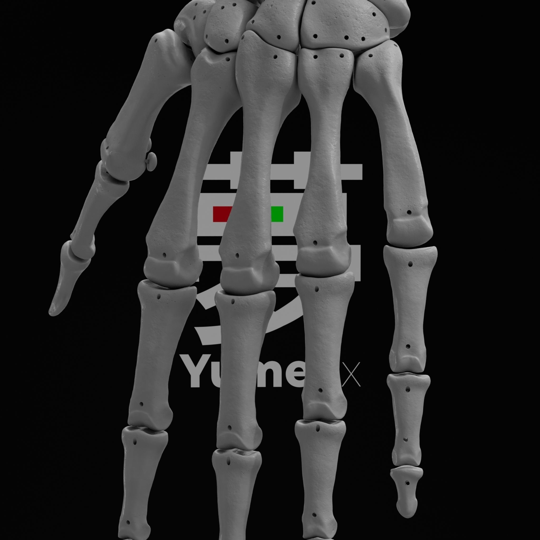 Human Rt Hand Bones 3D model 3D printable | CGTrader