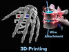 Human Rt Hand Bones 3D model 3D printable | CGTrader