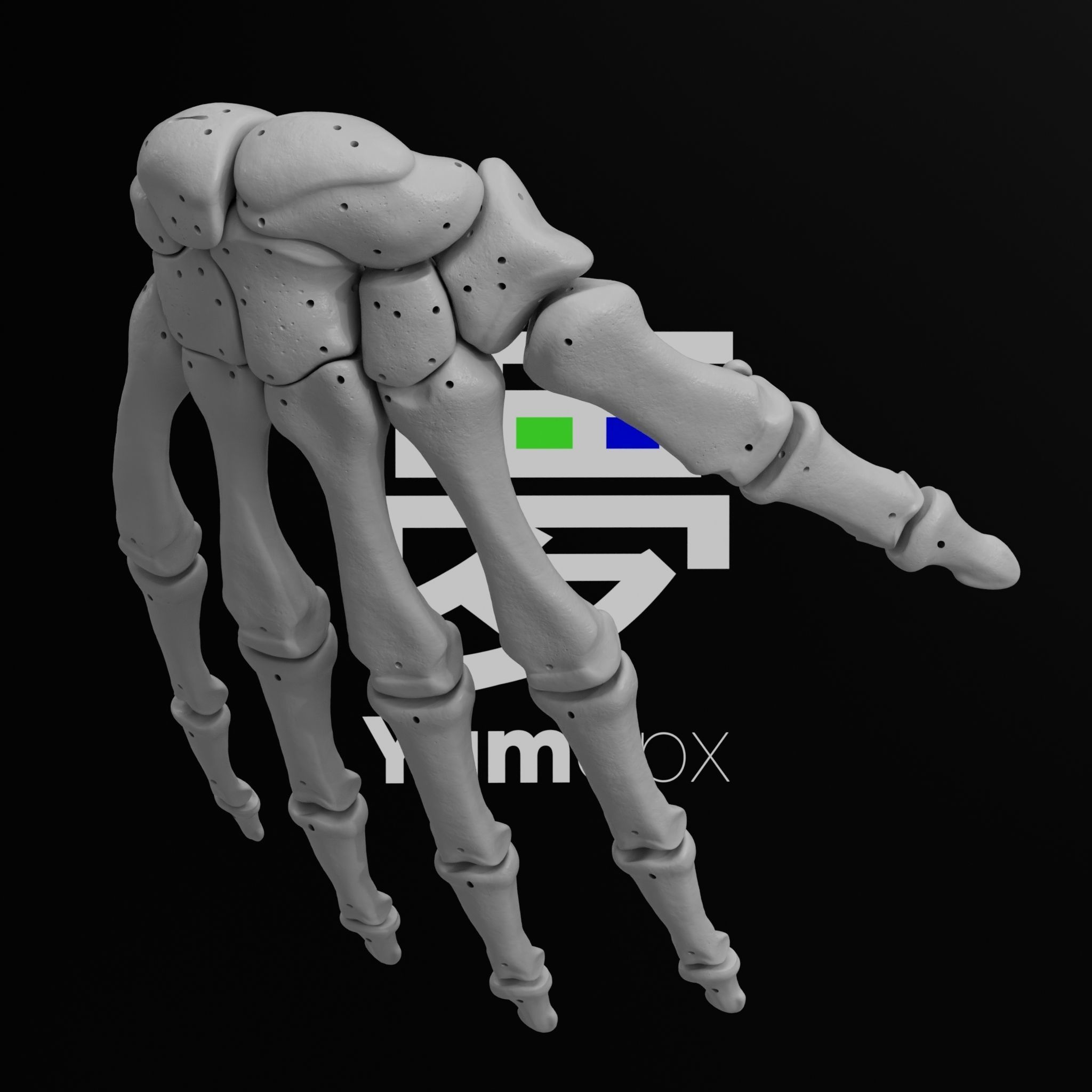 Human Rt Arm and Hand bones 3D model 3D printable | CGTrader