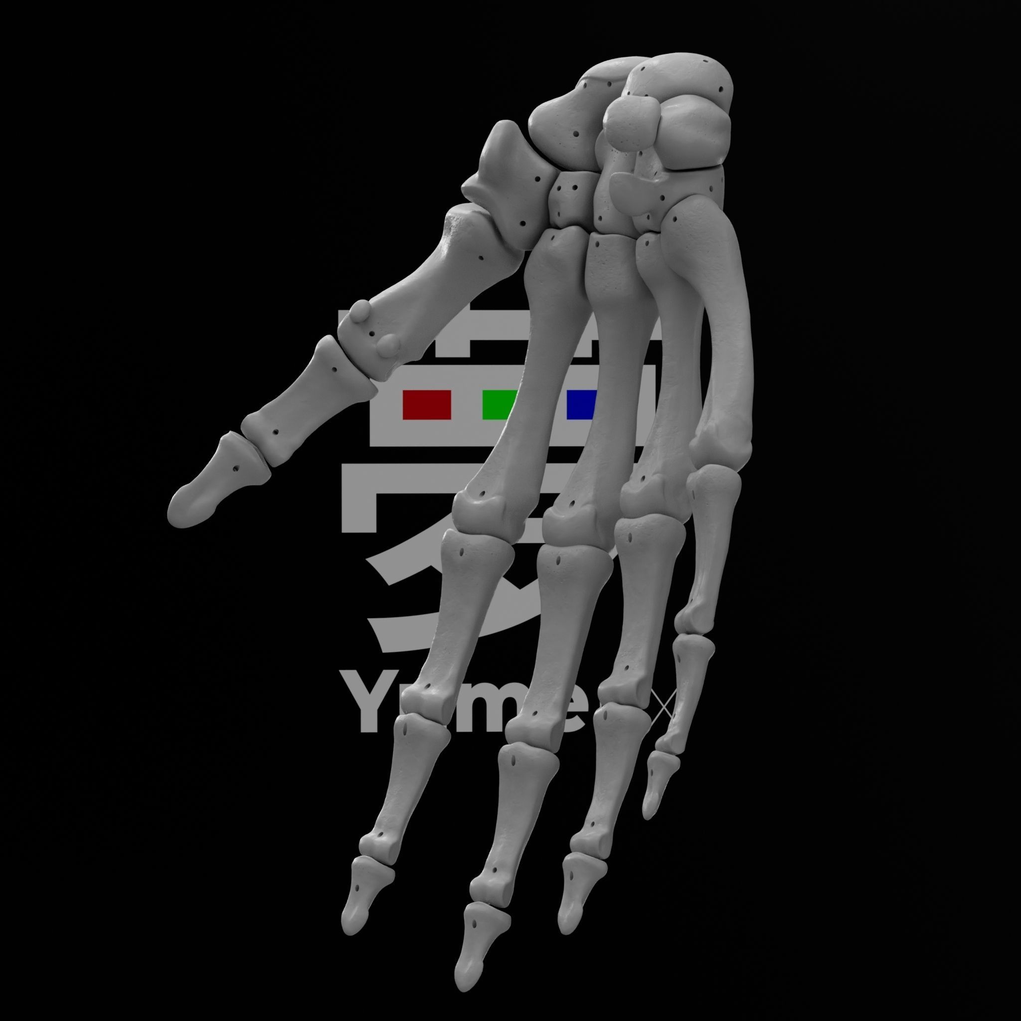 Human Rt Arm and Hand bones 3D model 3D printable | CGTrader