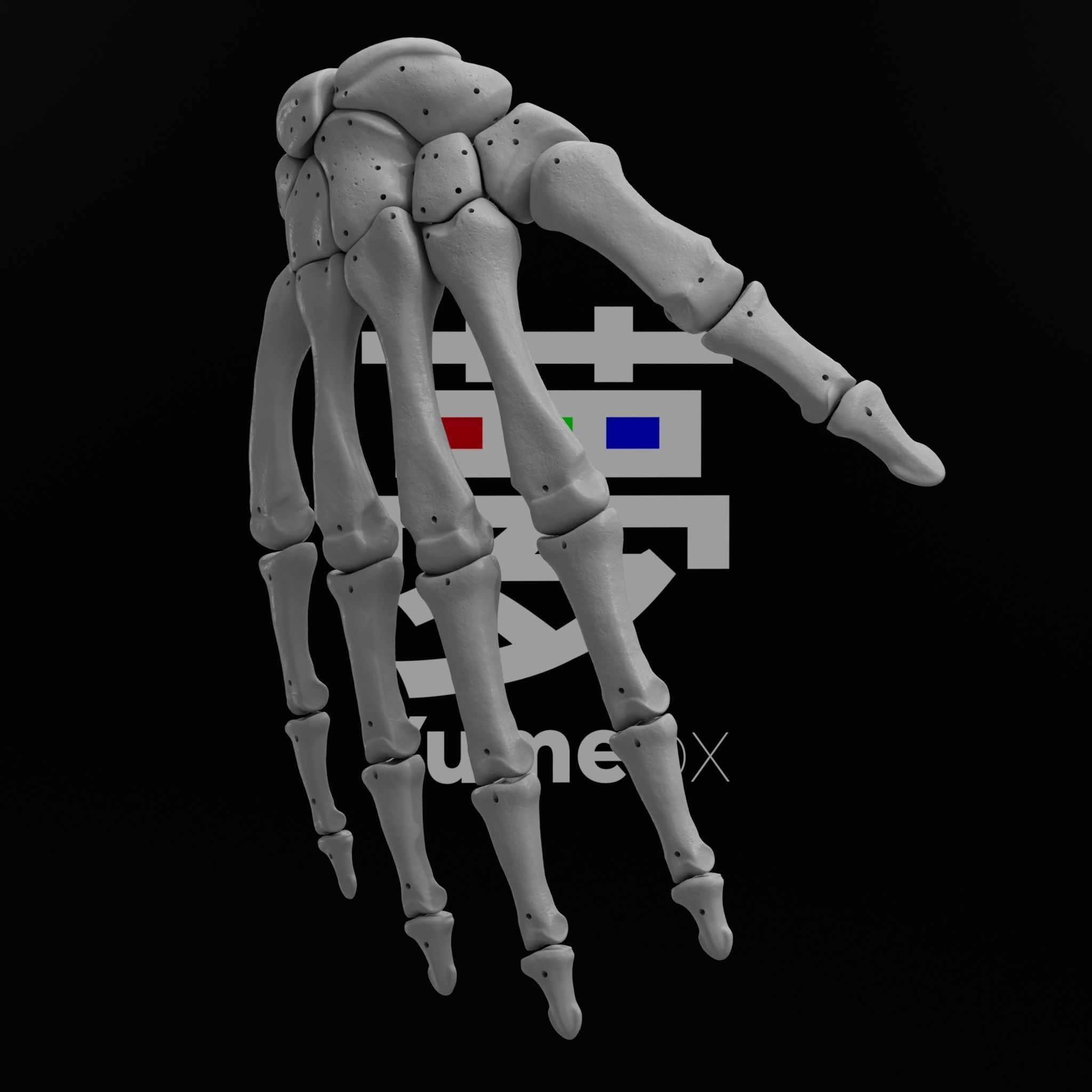 Human Rt Arm and Hand bones 3D model 3D printable | CGTrader