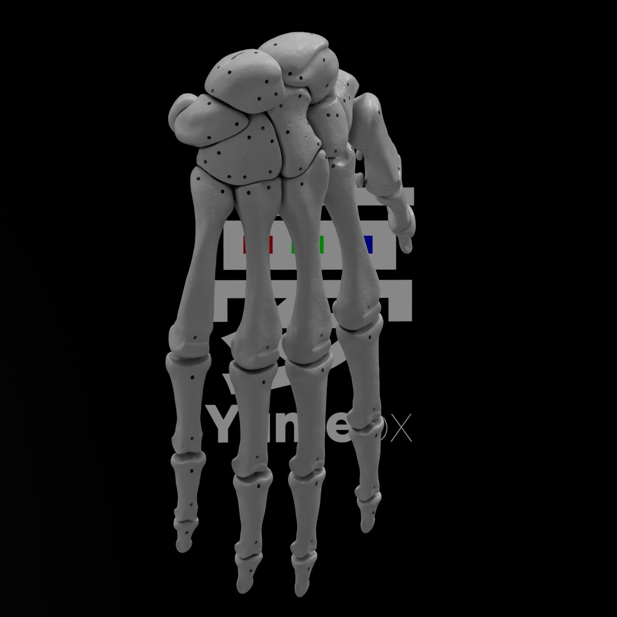 Human Lt Hand Bones 3D model 3D printable | CGTrader