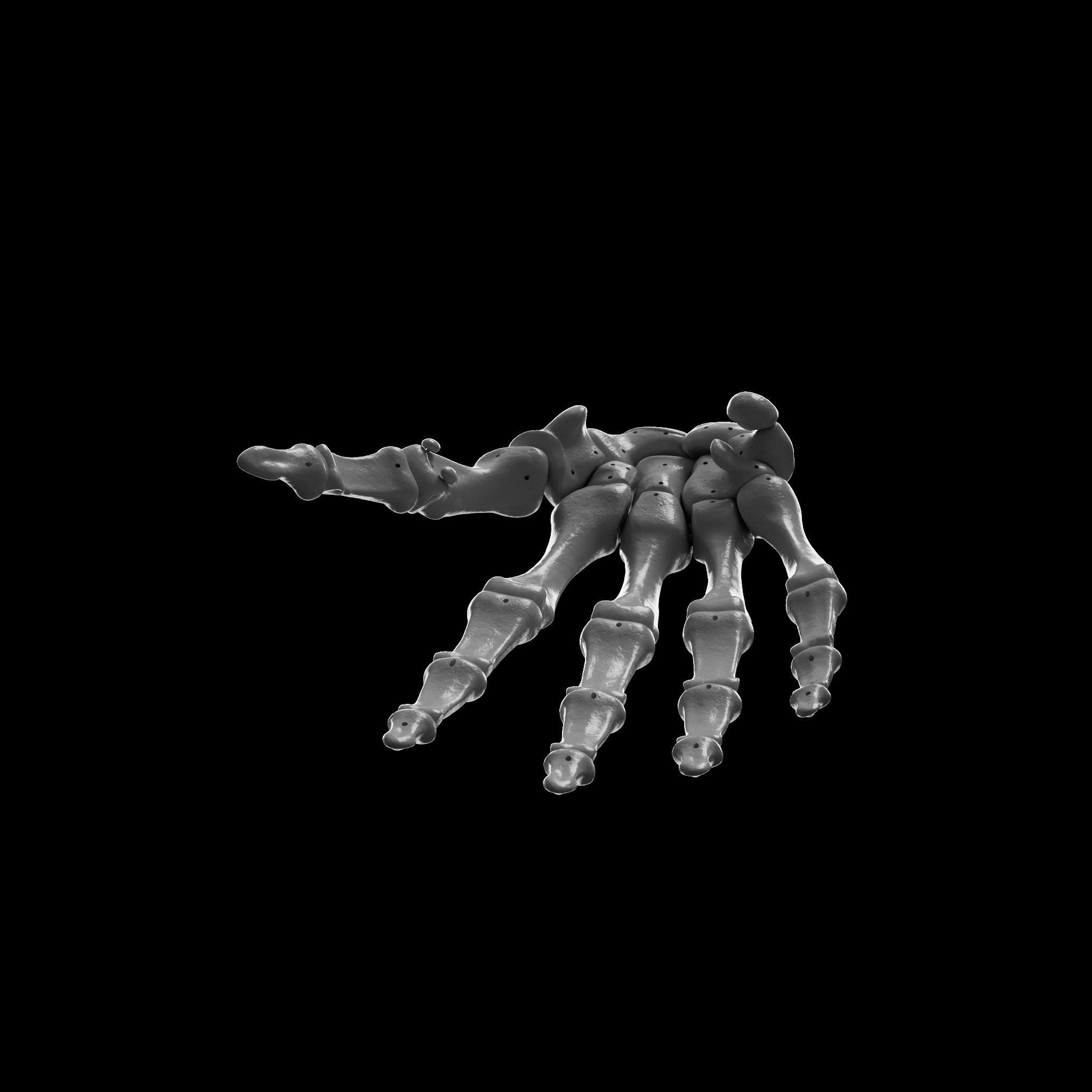 Human Lt Hand Bones 3D model 3D printable | CGTrader
