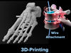 Human Lt Foot Bones 3D model 3D printable | CGTrader