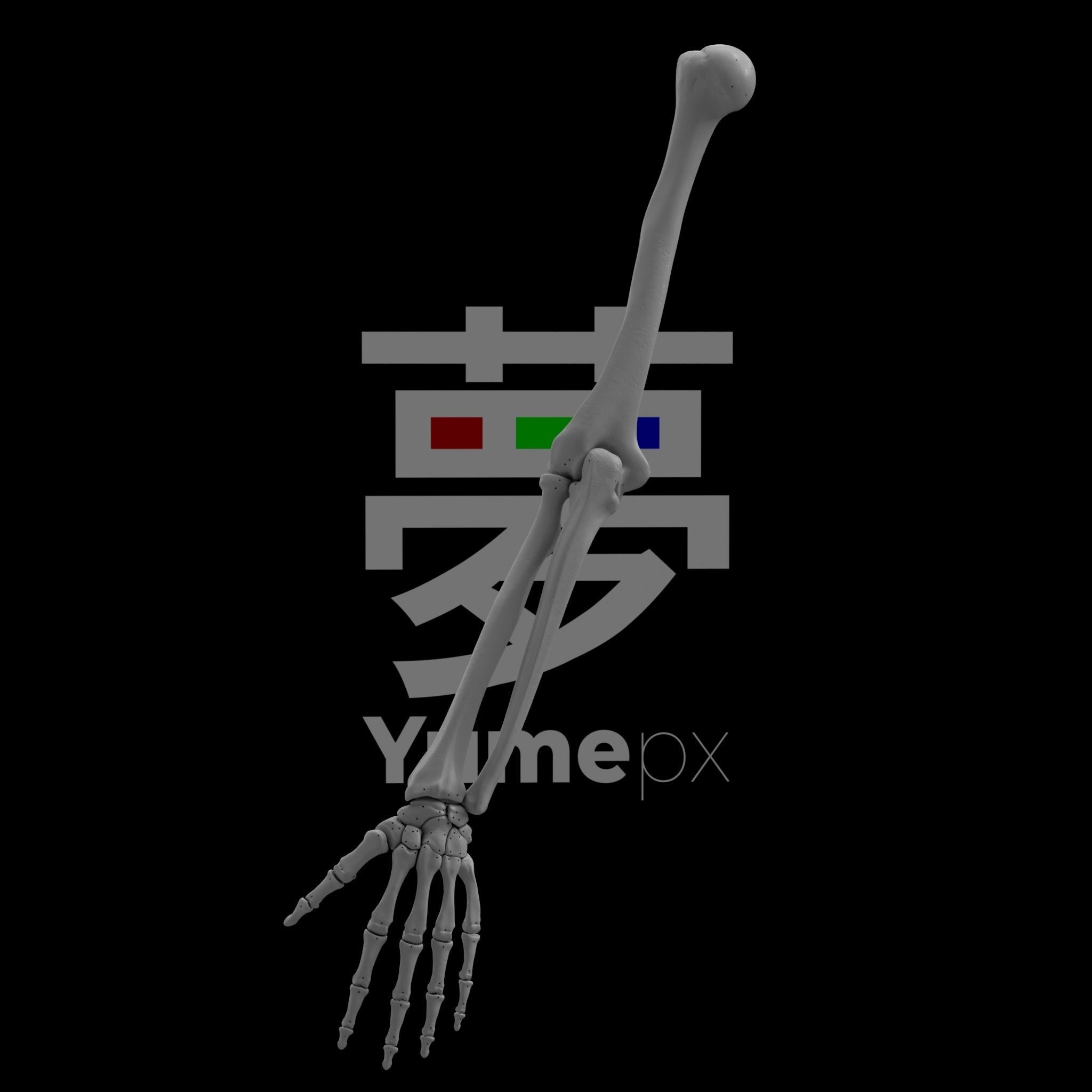 Human Lt Arm and Hand Bones 3D model 3D printable | CGTrader