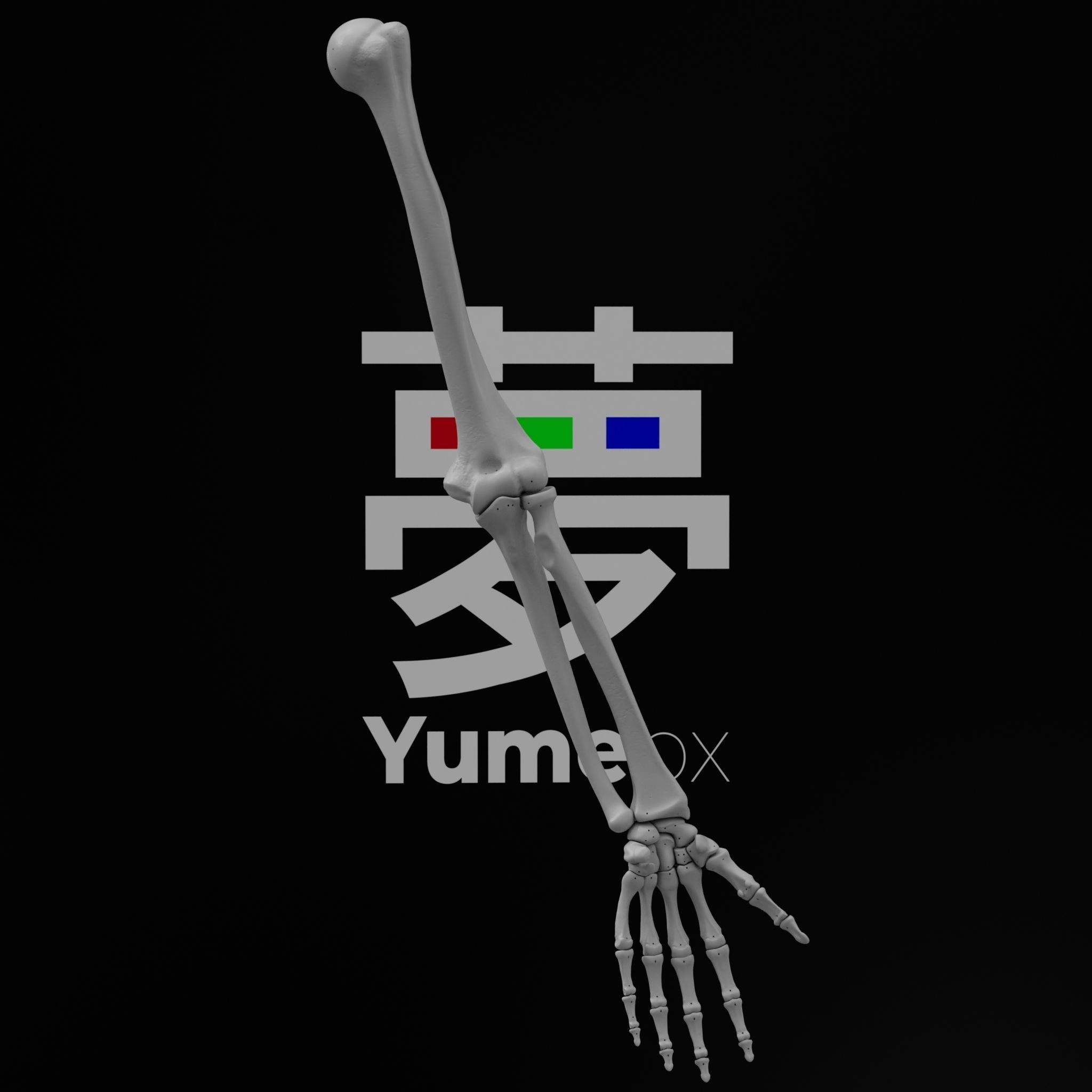 Human Lt Arm and Hand Bones 3D model 3D printable | CGTrader