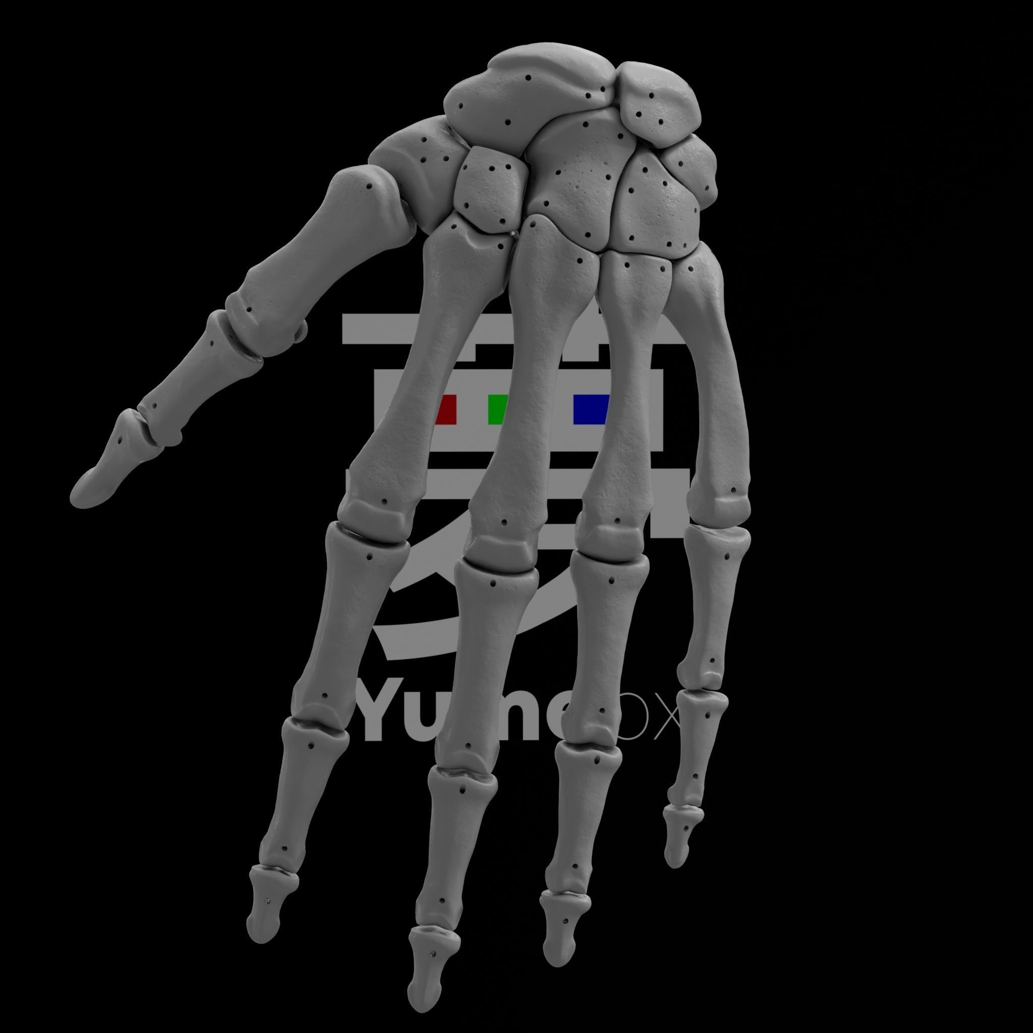 Human Lt Arm and Hand Bones 3D model 3D printable | CGTrader